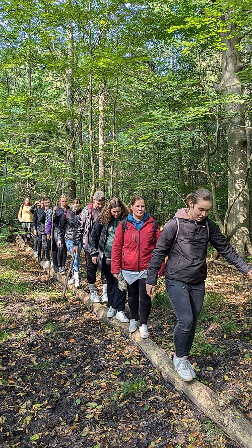 ILL-eV.: Viel mehr als ein Waldspaziergang