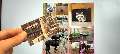 ILL-eV.: Was gibts Neues im Tierpark Greifswald?