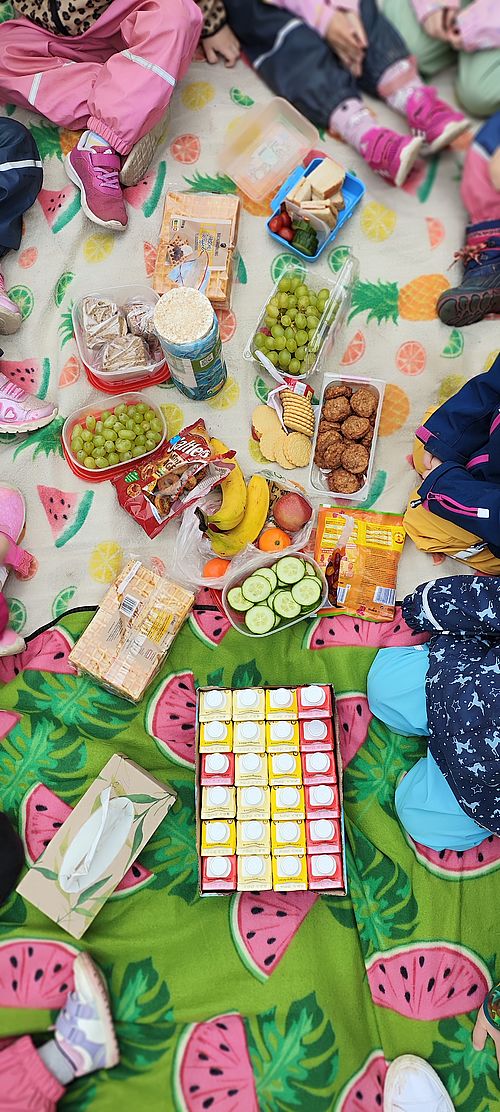ILL-eV.: Die Seepferdchen veranstalten ihr 1. Picknick des Jahres- es ist ja immerhin schon Frühling